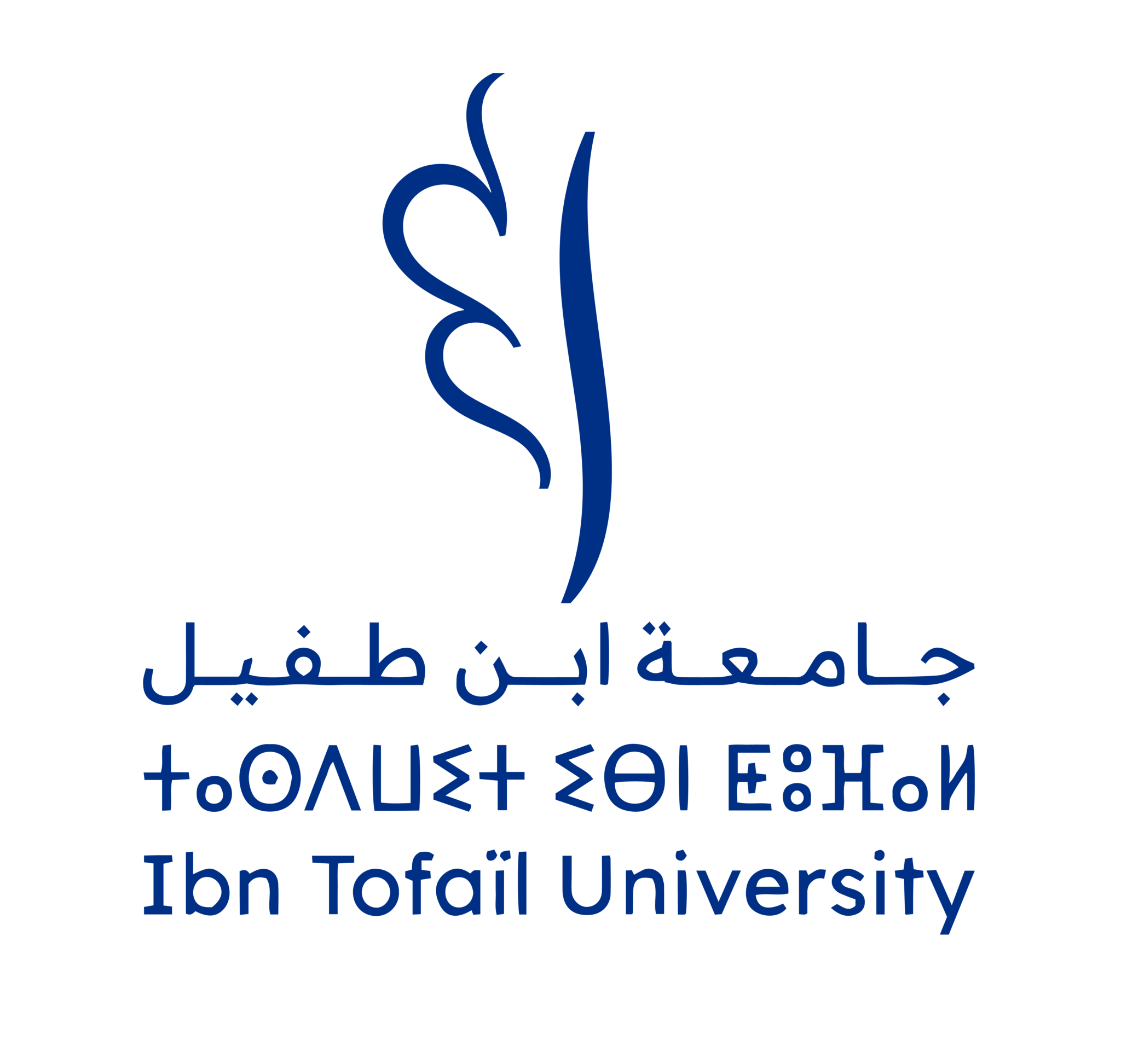 Ibn Tofail University_Logo_Vertical_Full Color and white-01 – Univesité ...